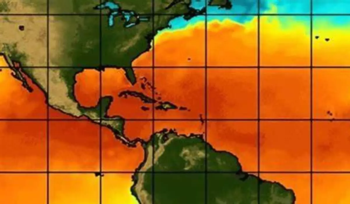 80% chance of El Niño by September, says UN weather agency