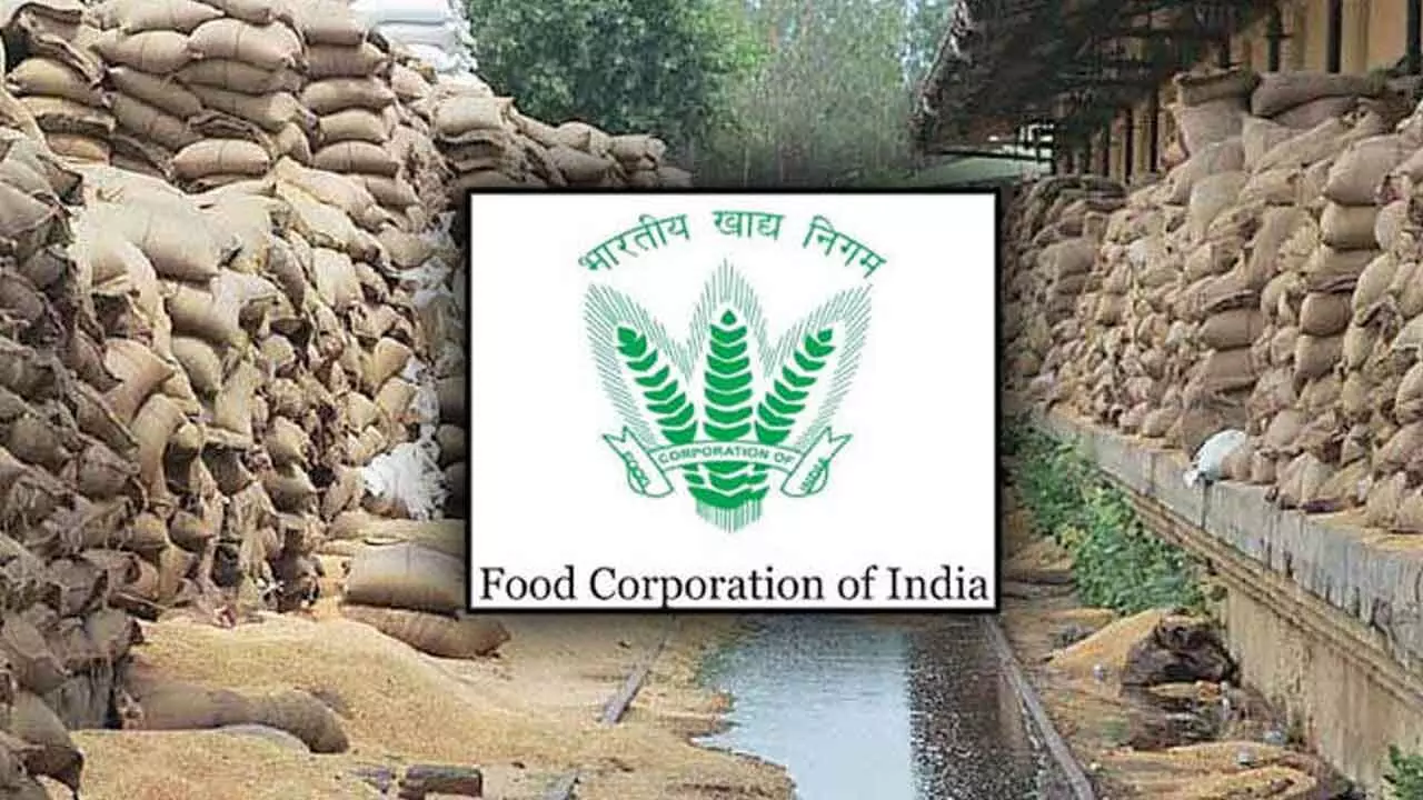 FCI Denies Monopoly Claims in Award of Grain Silo Projects