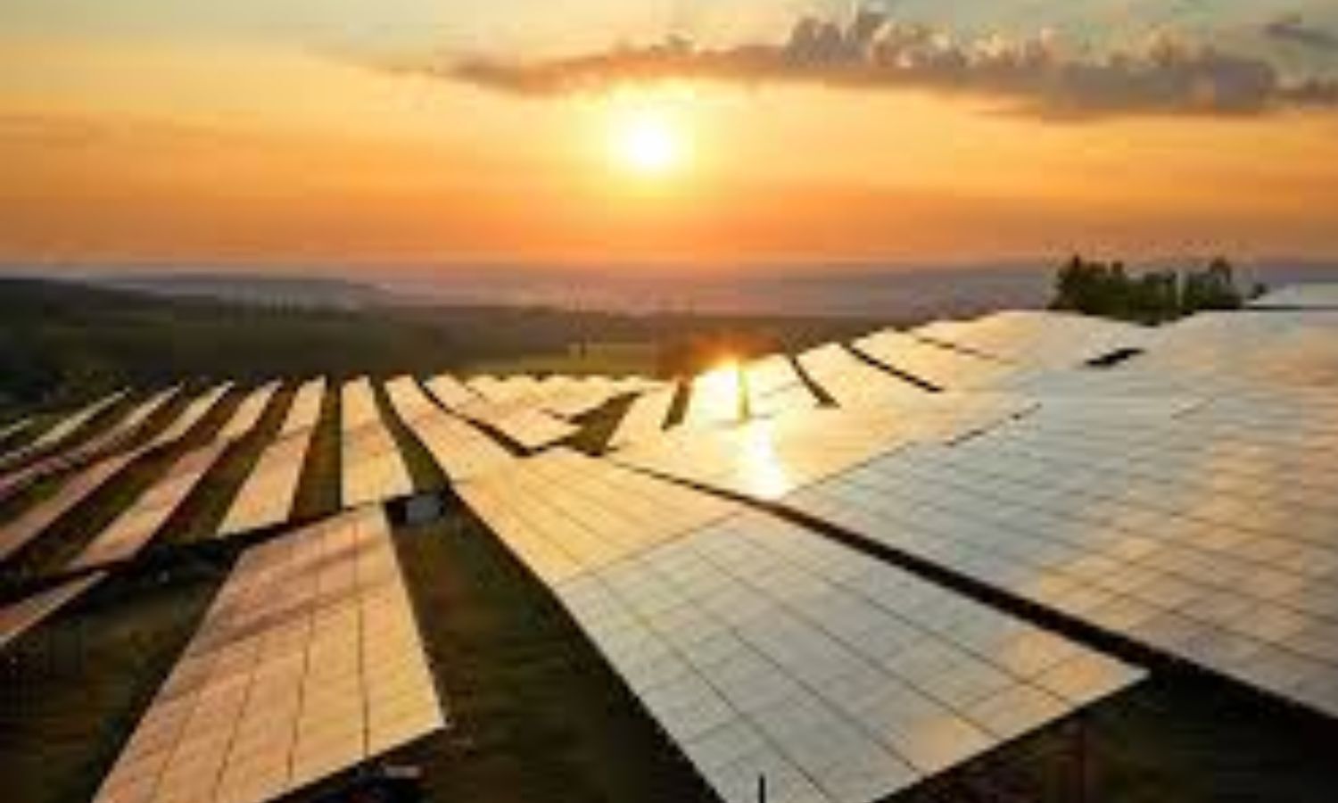 Sunkind to enter solar module mfg