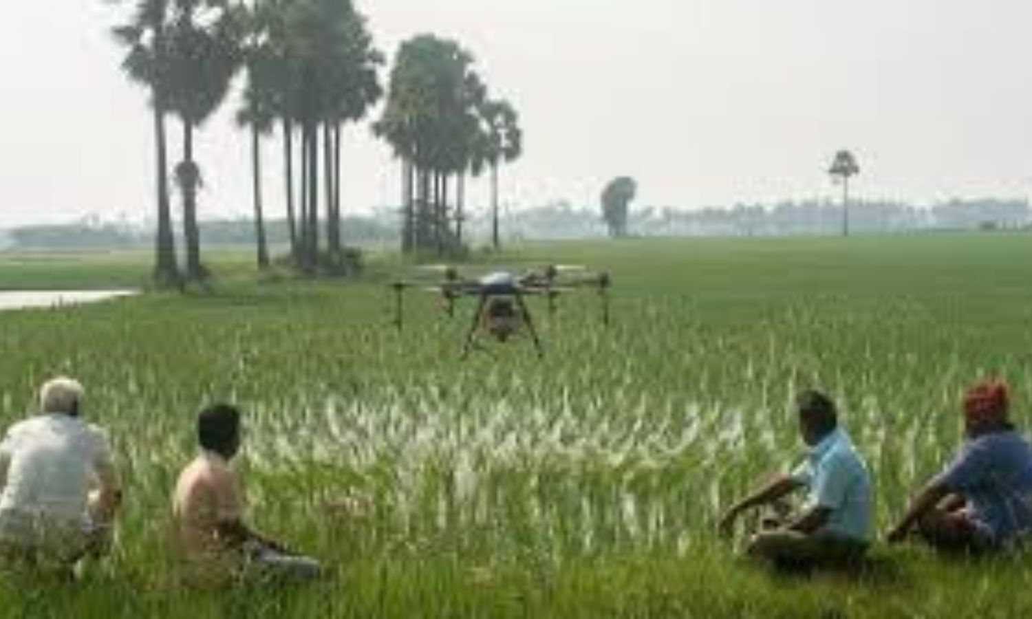 Farm-to-home push: Naidu bets big on direct agri delivery
