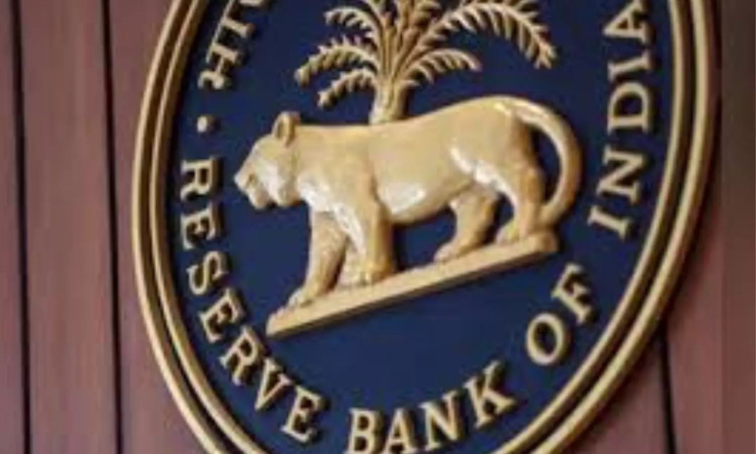 Record RBI dividend leaves fiscal questions unanswered