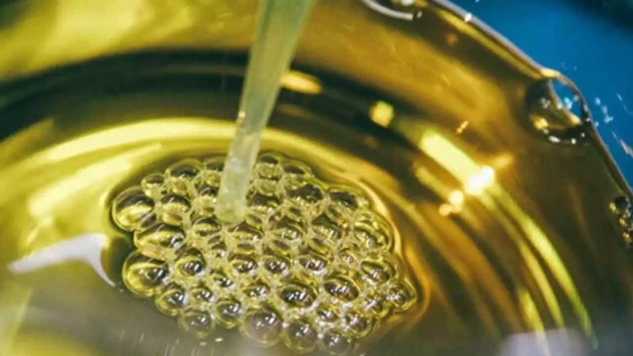 Edible Oil Industry Faces Major Shake-up as Government Proposes ...