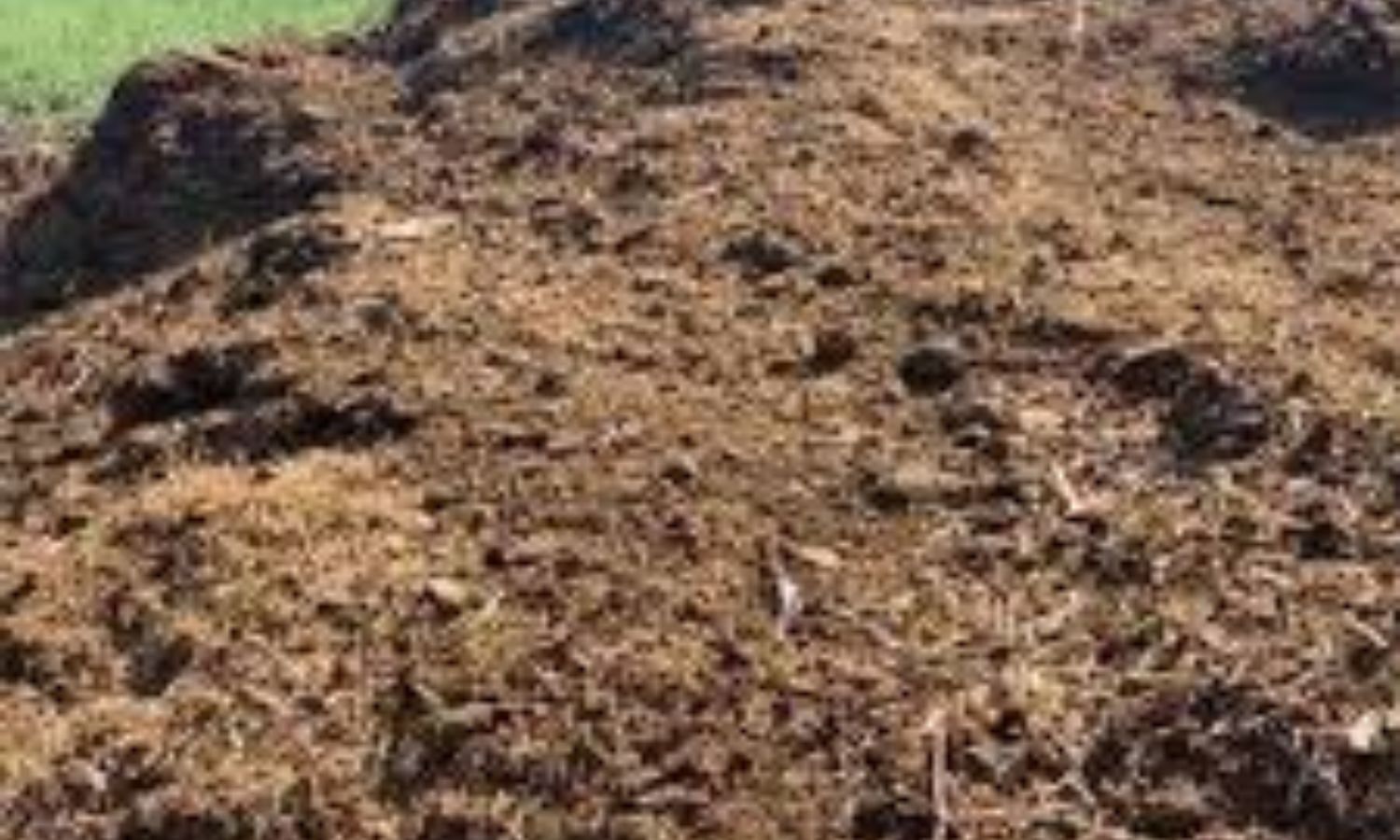 Organic manure uptake jumps 3.5-fold in kharif