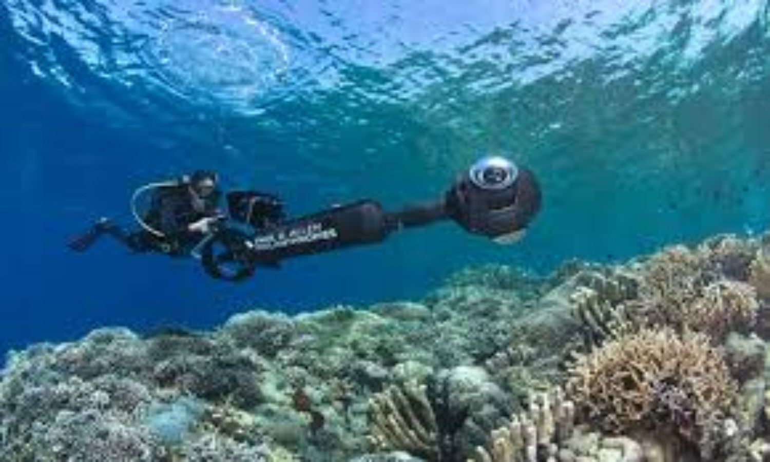 Indonesia’s reefs prove resilient to climate stress, study shows
