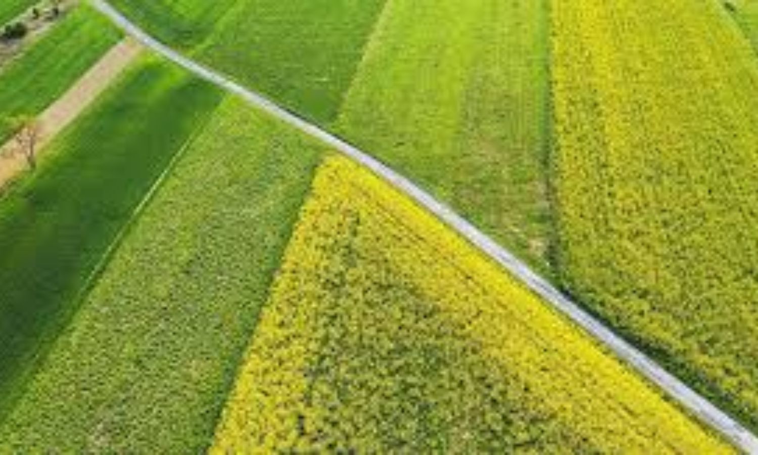 Agri, water deeptech ecosystem gains pace