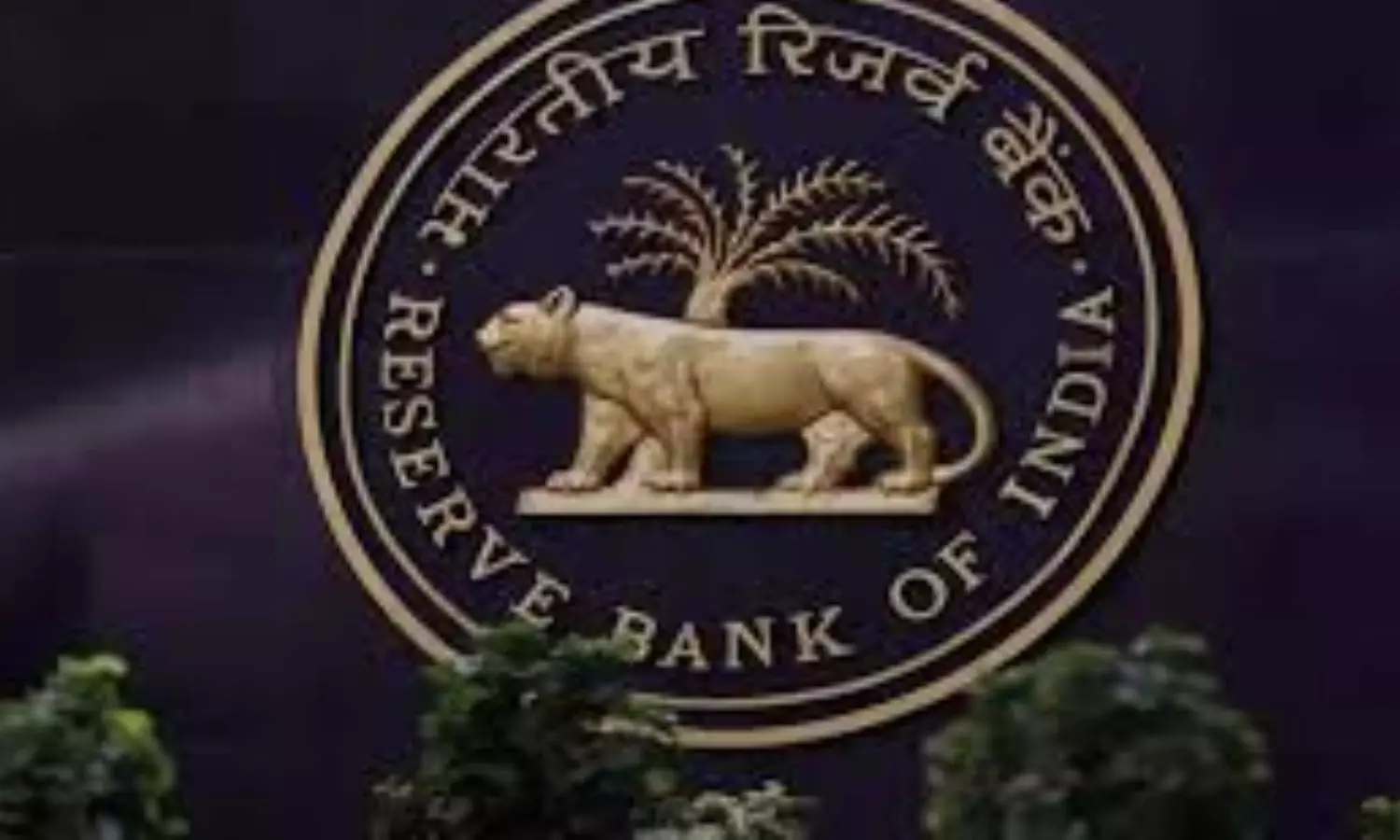 Strong Fundamentals Helped India Tackle West Asia Crisis: RBI