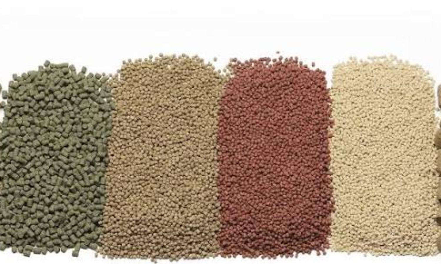 Naidu govt sets up panel to monitor aqua feed prices